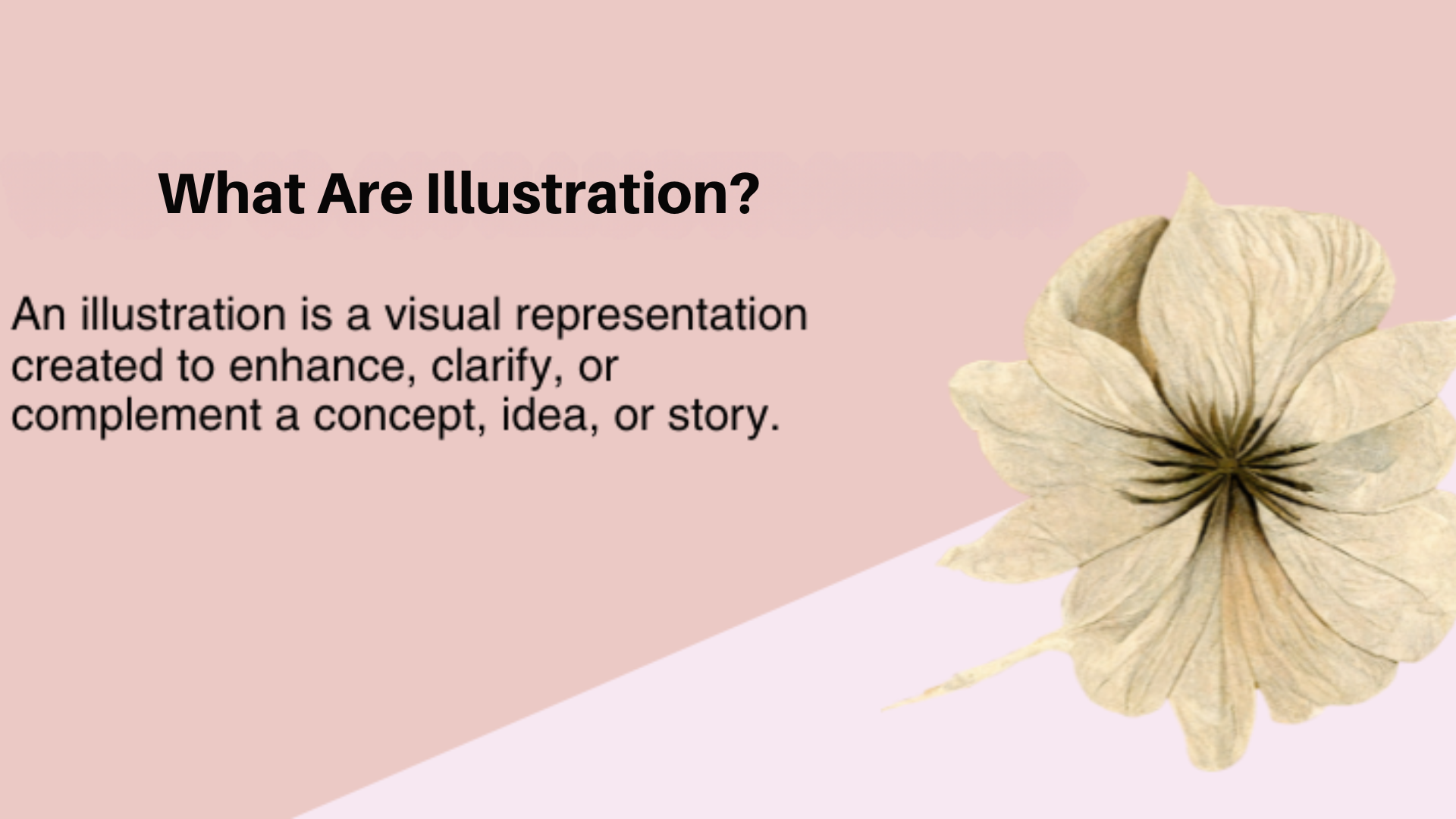 What Are Illustrations: Tools, Types & Creation Secrets